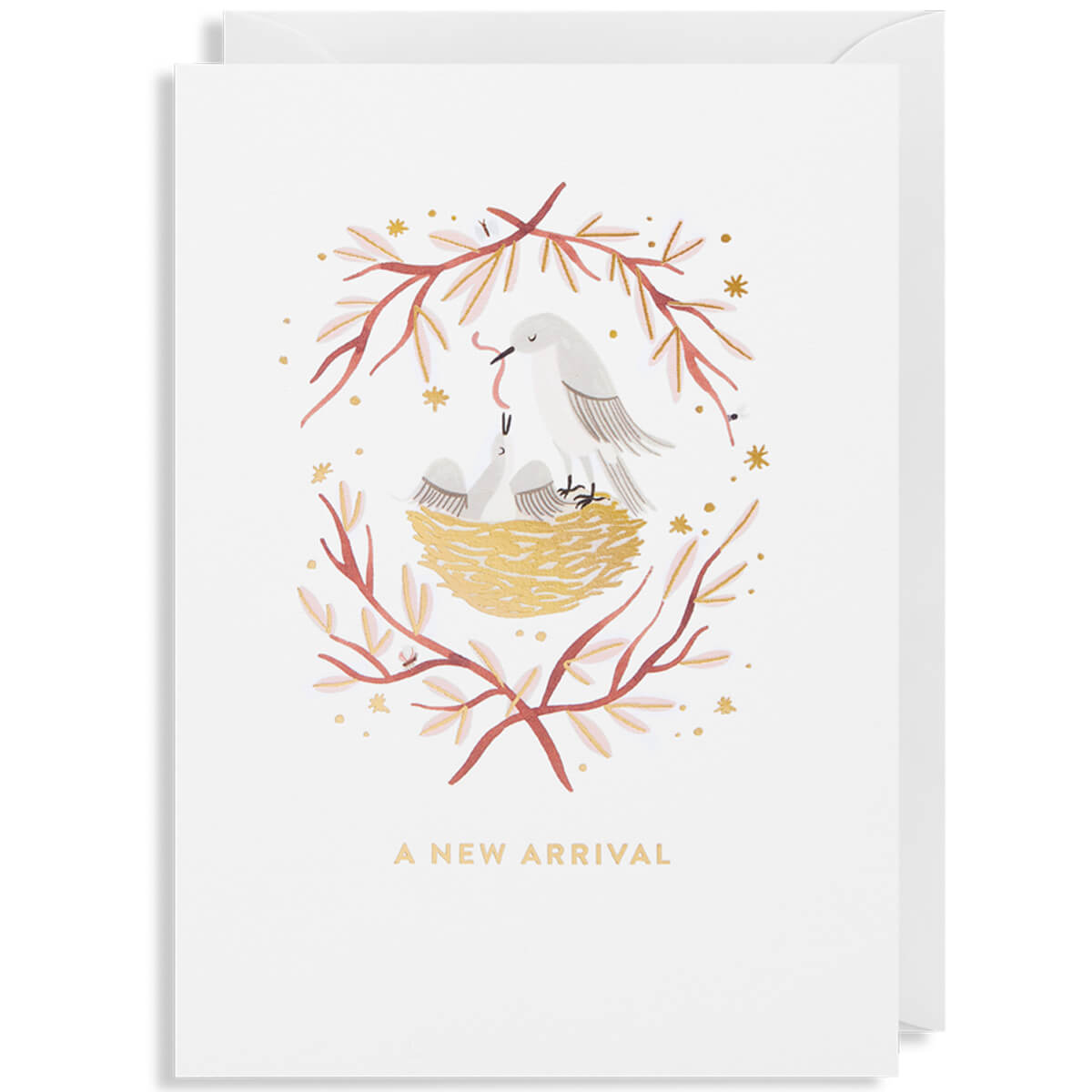 Calypso A New Arrival Greeting Card – Destination Baby & Kids